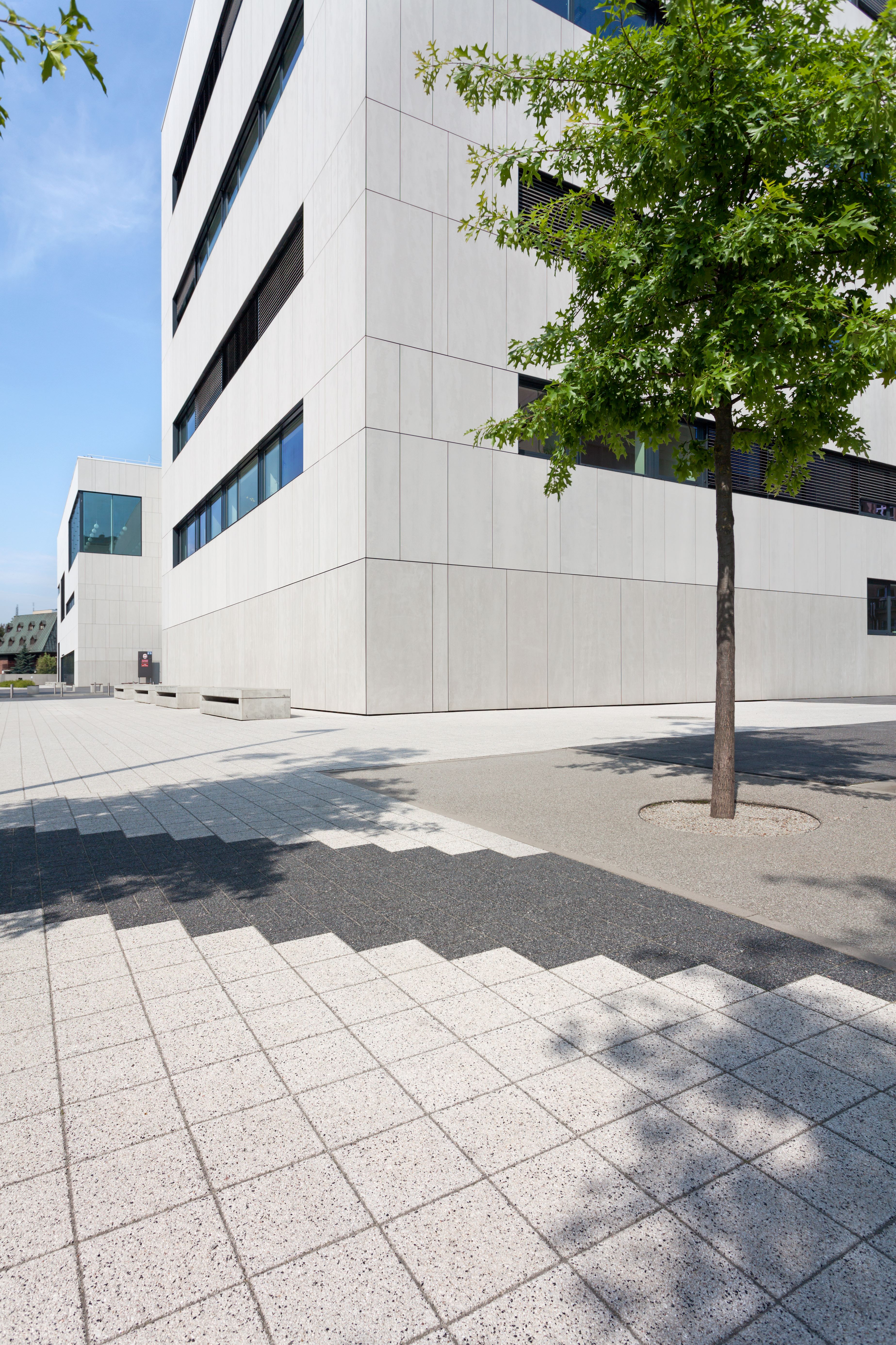 Praktyczne kostki o różnych formatach | Betard